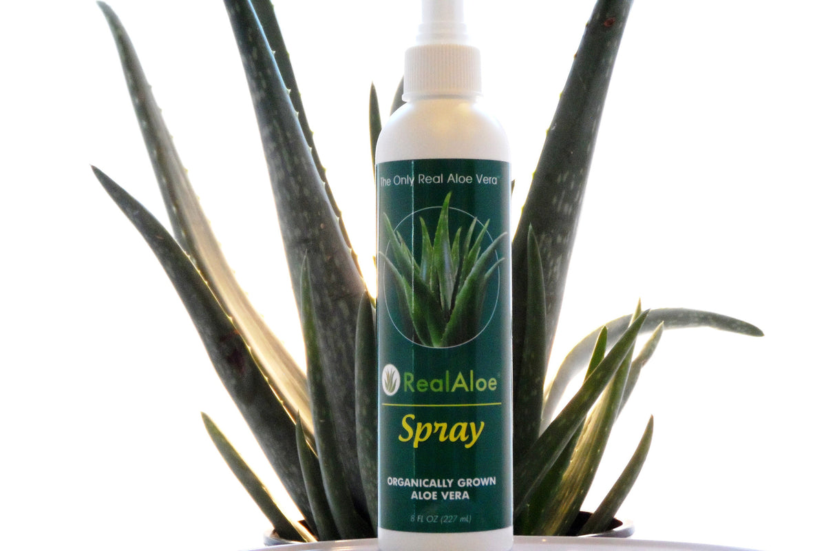 Real Aloe Spray – Hello Gorgeous Cosmetics